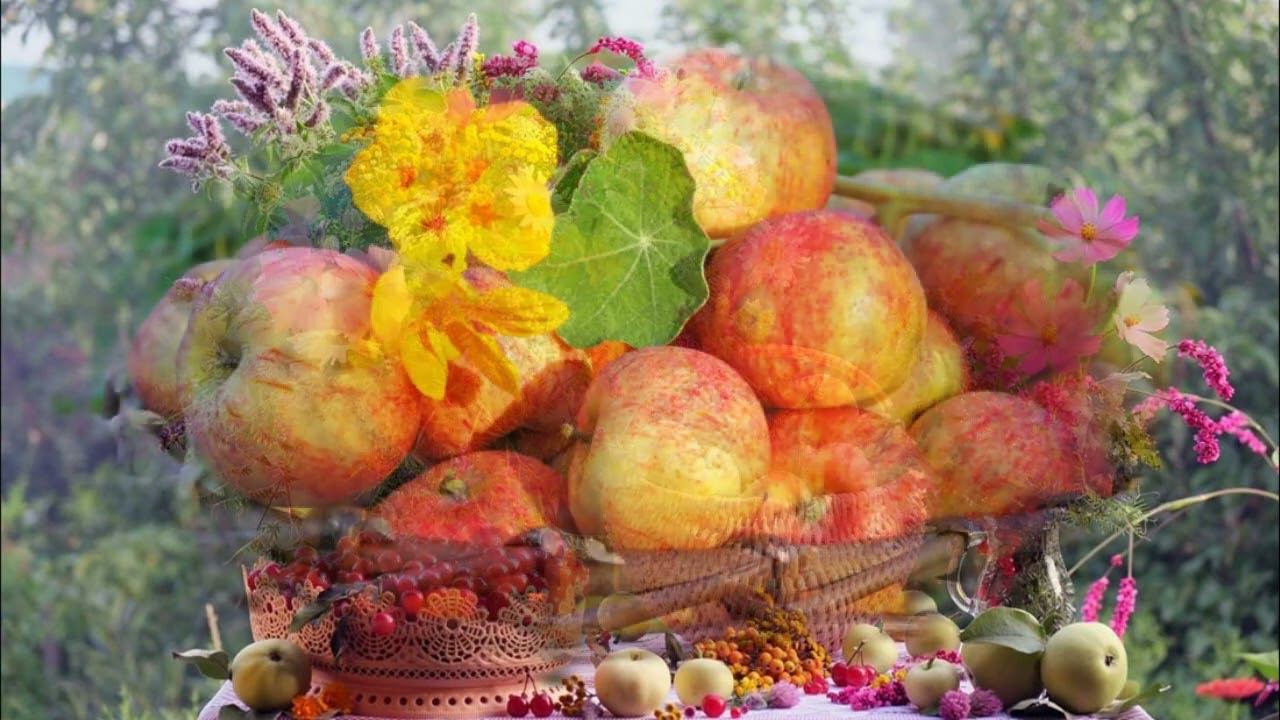 Привет Август