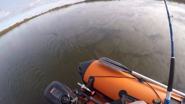 Ока троллинг с руки (дорожка)Забагрилась стерлядка,отпускаю.(звука нет глюканула камера).