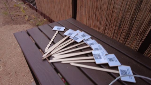 Питомник с японским мини-садом создали во дворе у парка «Каменка»