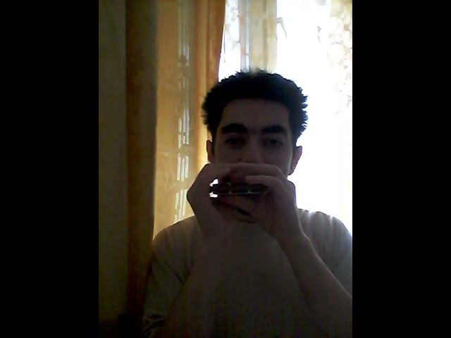 Ари им сохак/Armenian lullaby #stratocastro #harmonica #harp #губнаягармошка