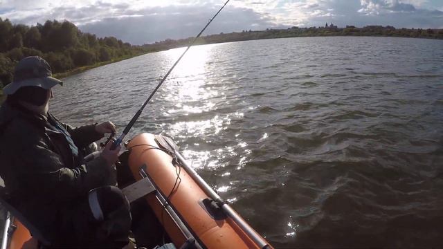 Окунь вездесущий, без него ни куда).