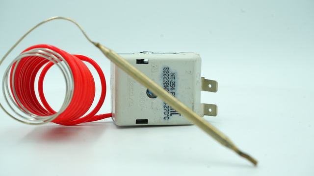 Термостат однофазный рабочий E.G.O. (55.13059.220)