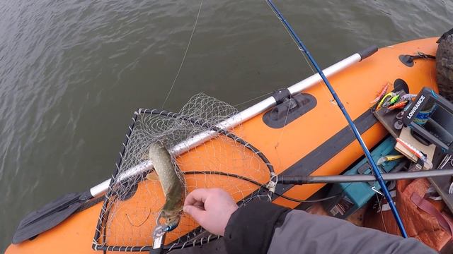 Крайняя в этом сезоне щука.