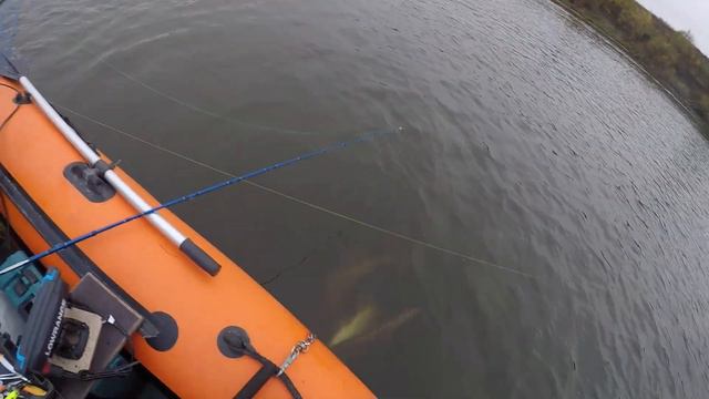 Ока,троллинг с руки(дорожка),Облавил товарища в пух и прах.злится ругается.Щука в подсачеке.