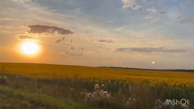 Тедди в деревню лето 2022