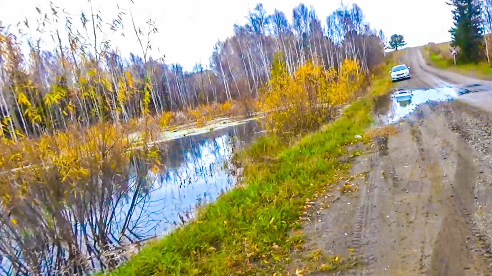 Наглый Бобер Заткнул Трубу Через Дорогу!