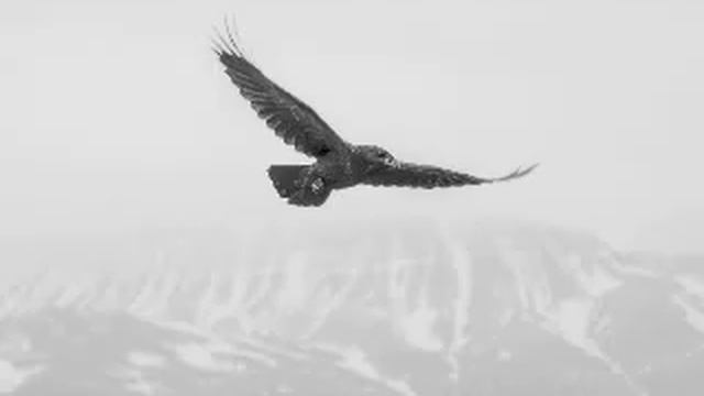 Бубен и варган