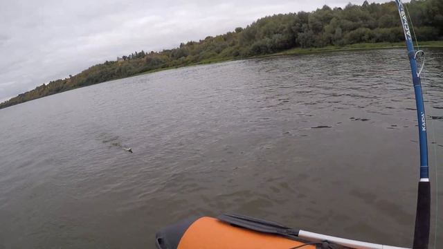 Ловля окуня с подписчиком