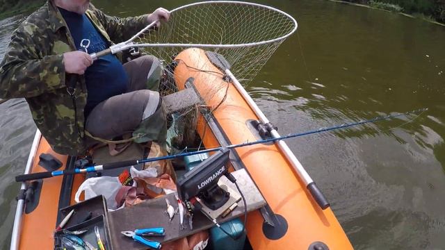 Щучки не дают отдохнуть одна за одной.