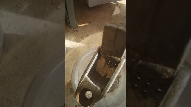 Как давать аминокислоты детям это детский биохакинг