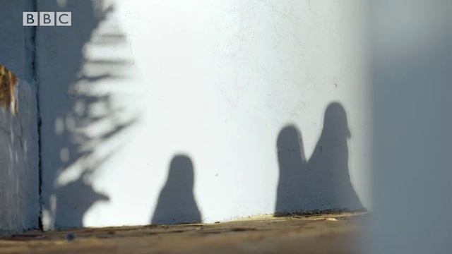 SO3 A2 U6 BBC Programmes