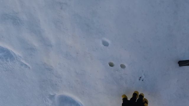 Восхождение на Гидан. 4200м. Часть 5.