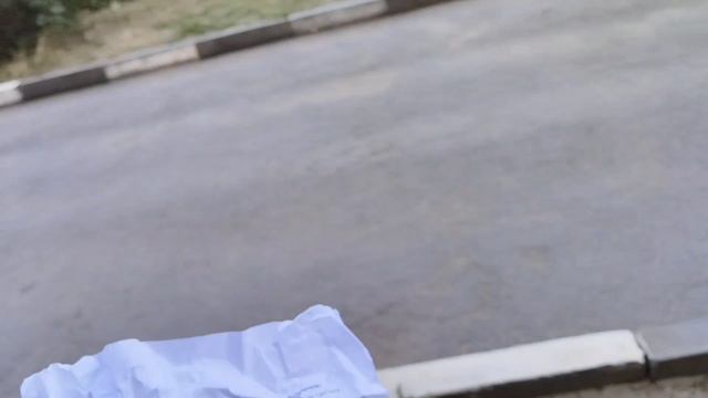 сирноголовый в реальной жизни 👽