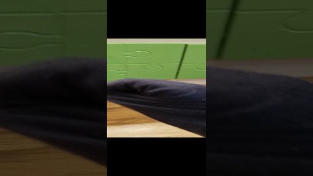 100000000% спайк и боб победят дракона