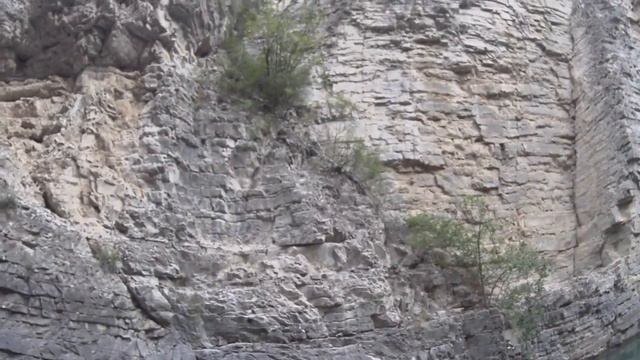 Кронберг канал