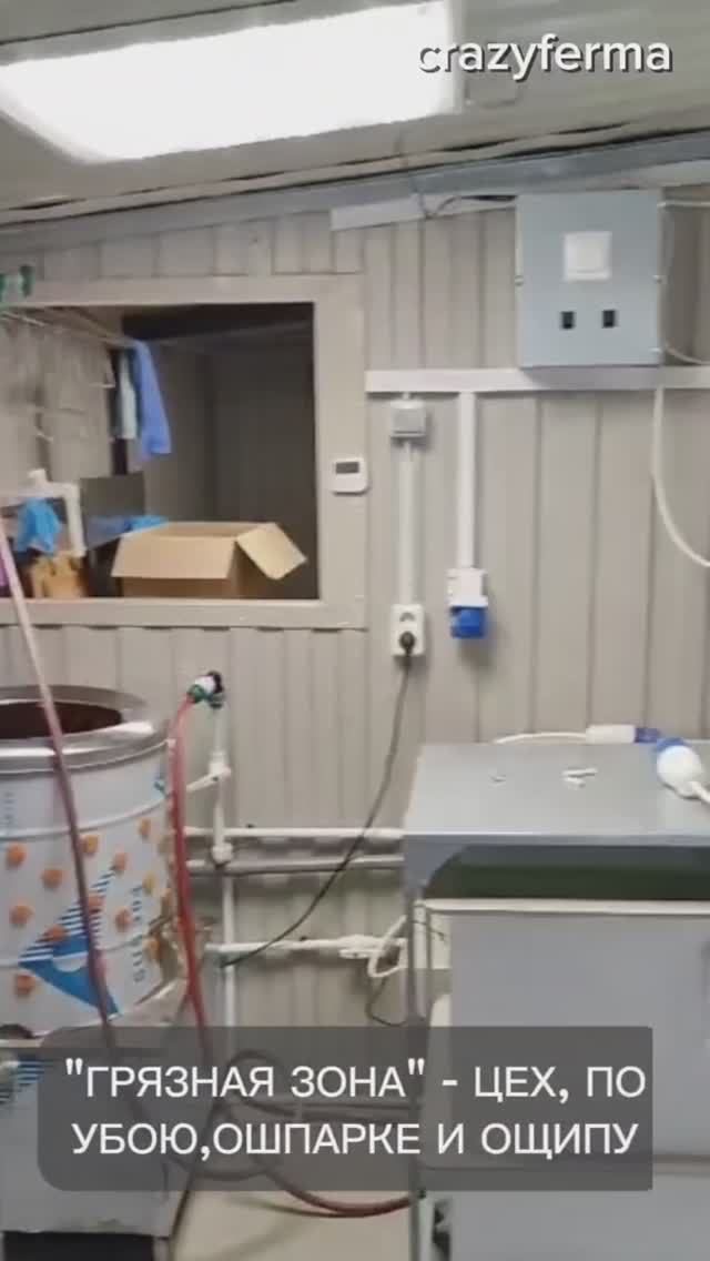 👍Убойный цех "TECHNOLINE 24/7": от убоя до упаковки