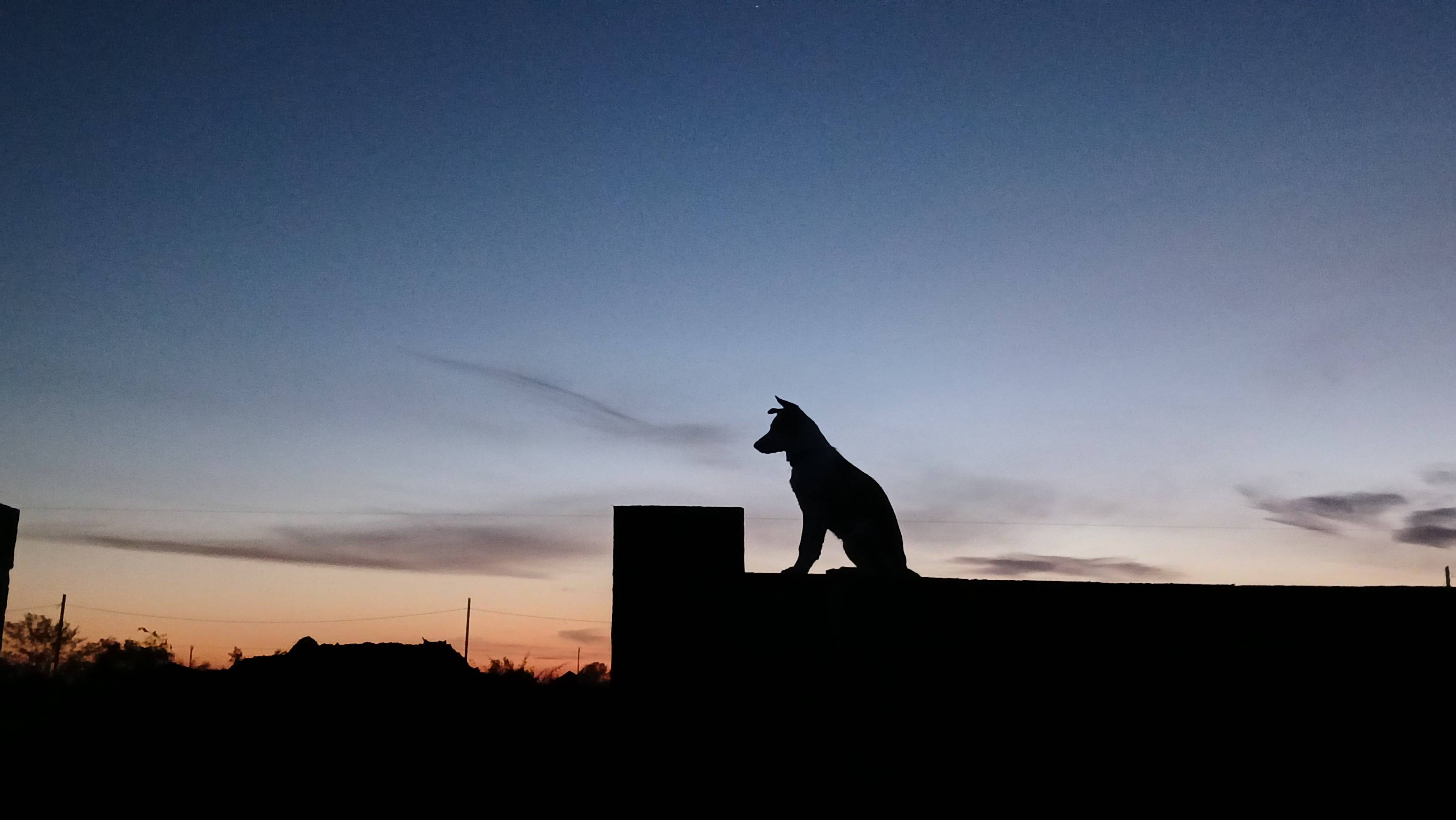 Строим дом из арболита.
Выпуск №11