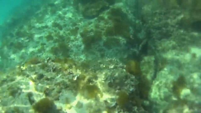 Кронберг канал