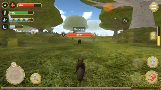 длинное.видео-симулятор белки.2.