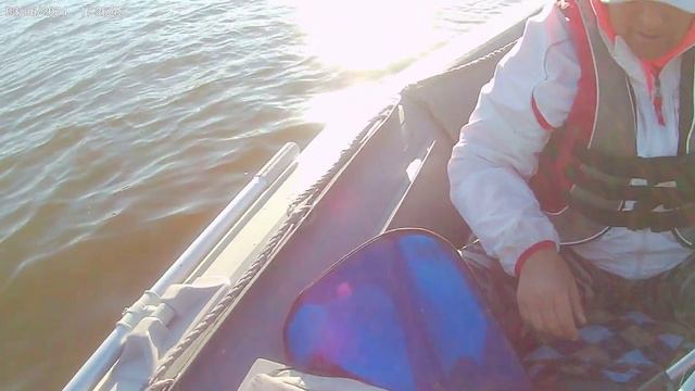 Лес и Рыба 2024