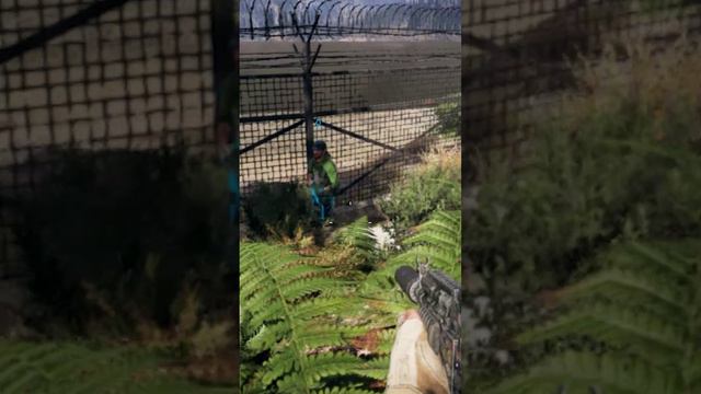 Баг в Far Cry 5 - Два дебила