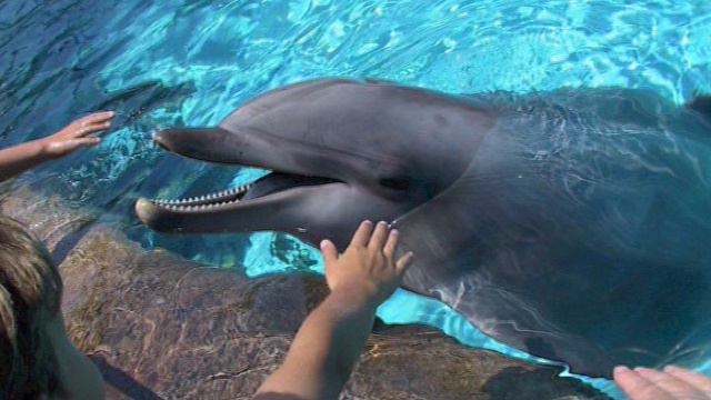 12 серия – Беременность 19-20 неделя