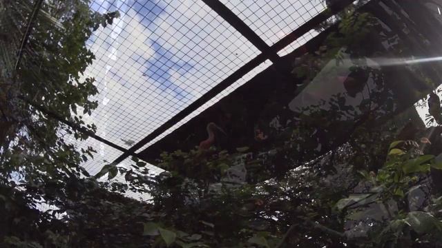 Кронберг канал