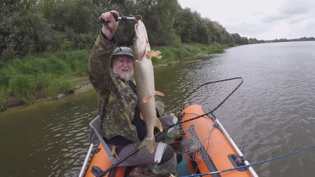 Монстр щучара больше 4кг.