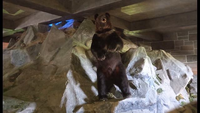 Кронберг канал