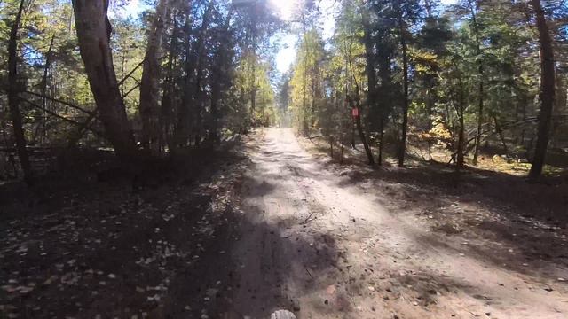 Ступинский Марафон 42 км (нарезка)