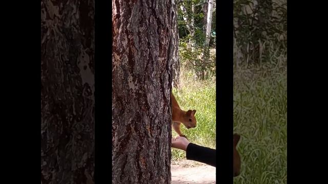 У кого вкуснее?