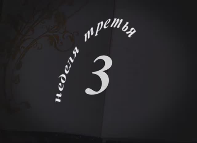 4 Серия - Беременность. 3-4 неделя