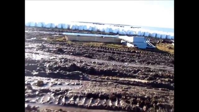 Покорение тундры