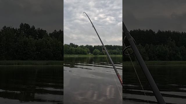 Когда пожелали удачи! 😁 Подпишись, новое видео каждый день!