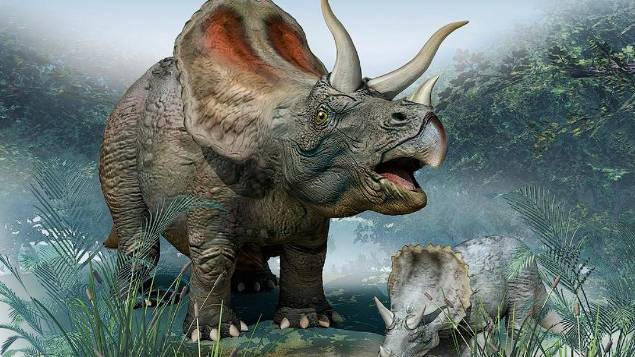 Что мы знаем о трицератопсах