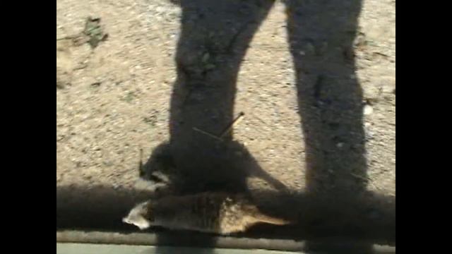 Кронберг канал