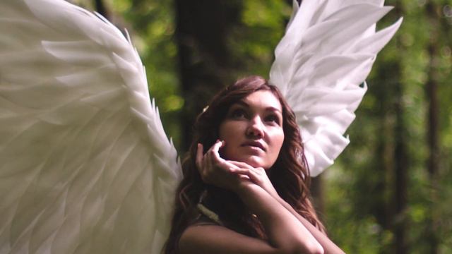 Клип на песню "Красота"