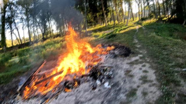 На территории усадьбы Васькино жгут огромные костры