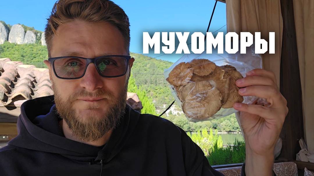 Два вида восприятия реальности