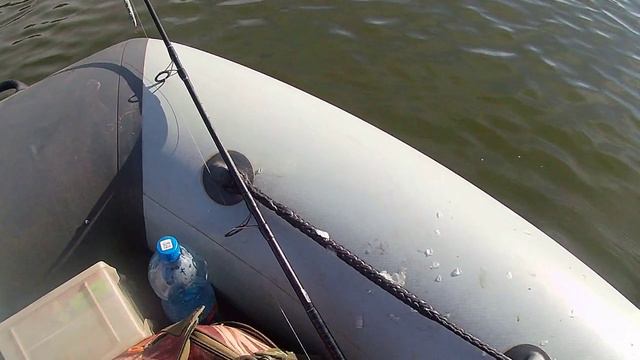 р. Десна часть 1