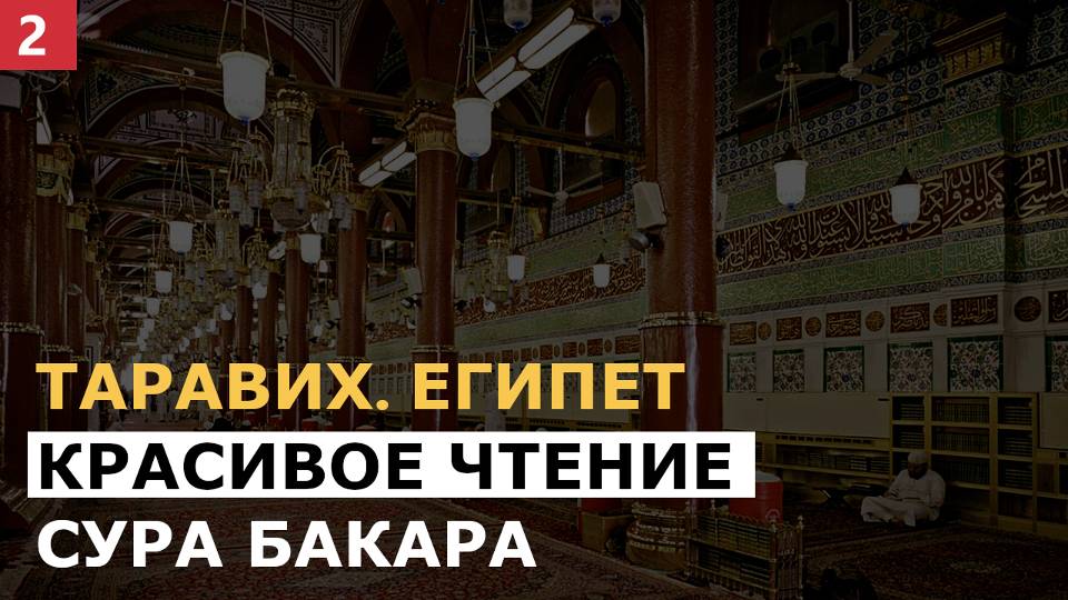 ОЧЕНЬ КРАСИВОЕ ЧТЕНИЕ  СУРА БАКАРА. Таравих 2024 (ЕГИПЕТ)