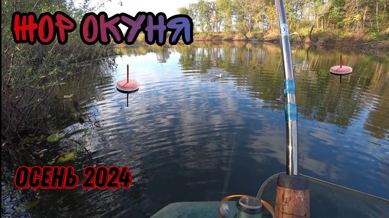 ЛОВЛЯ ОКУНЯ НА СПИННИНГ И НА КРУЖКИ В СЕНТЯБРЕ! ОСЕННИЙ ЖОР ОКУНЯ. ДАВНО Я ТАК ОКУНЯ НЕ ЛОВИЛ!