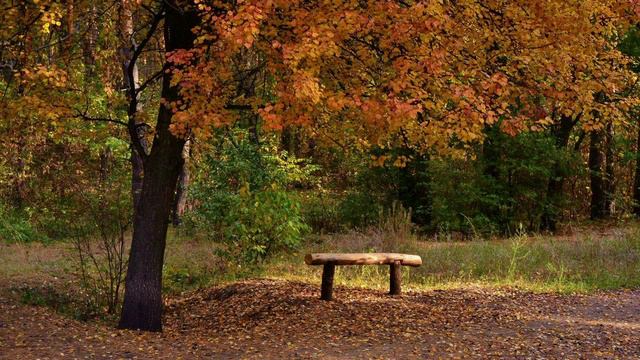 Осень в России, ч.-2