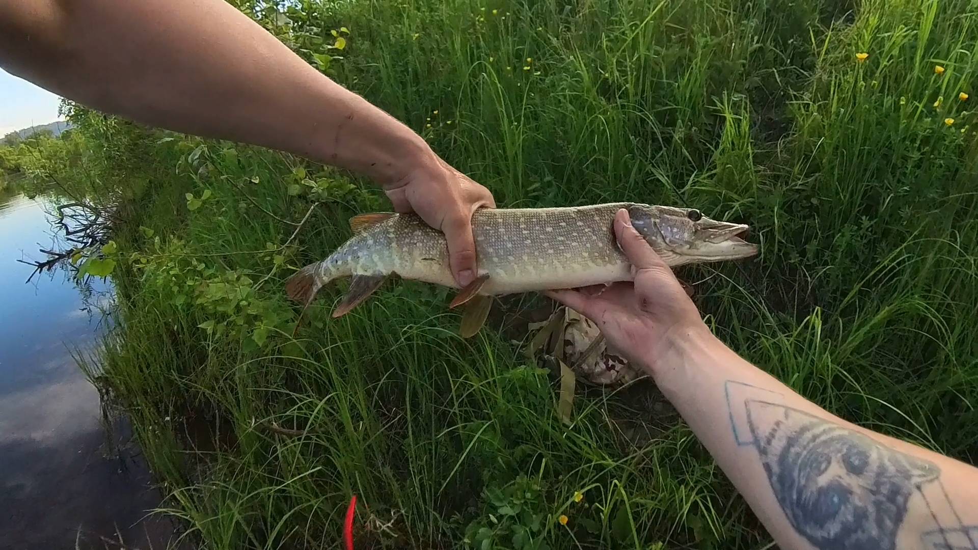 РЫБАЛКА НА ЩУКУ ВЕСНА! НАЛОВИЛ НА ЖАРЕХУ ВКУСНЫХ ЩУК!