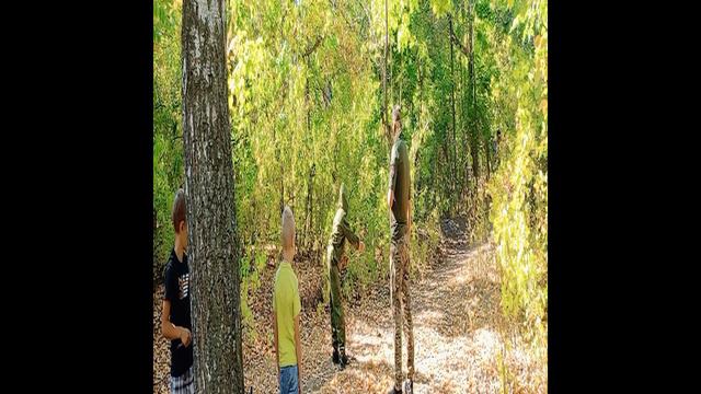 кошка скаутов