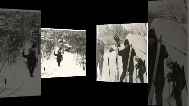 Буривестник-Красная-поляна-Дамбай