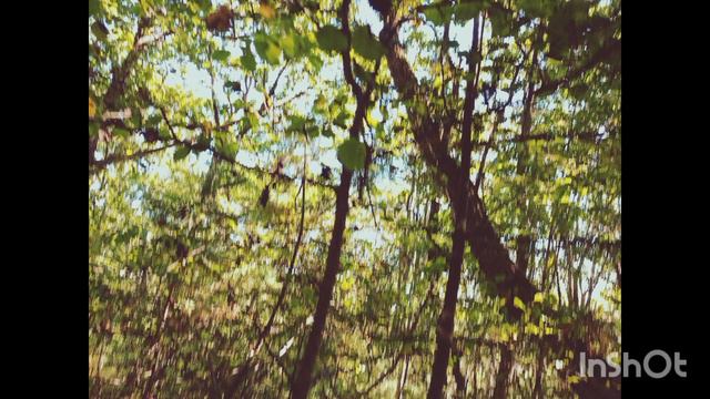 Национальный парк заповедник "земля леопарда".