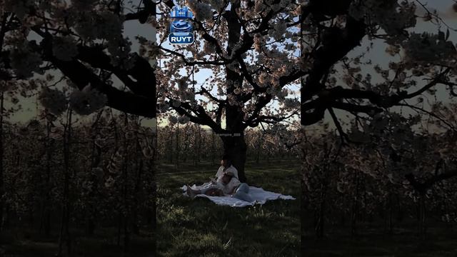 Признаки будущей жены.