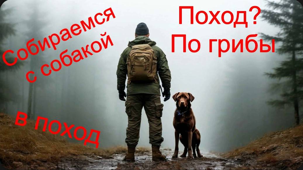 По грибы