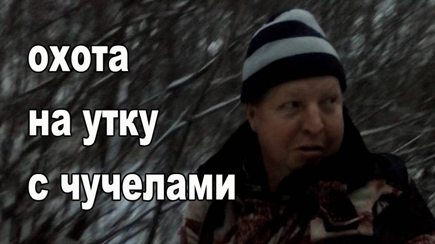 Охота на утку с чучелами